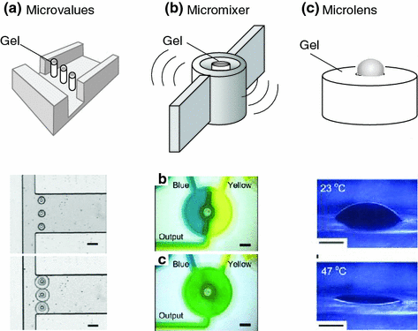 Smart Hydrogels | SpringerLink