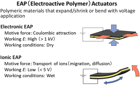 Ion Gels for Ionic Polymer Actuators | SpringerLink