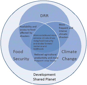 Food Security, Climate Change Adaptation, and Disaster Risk | SpringerLink