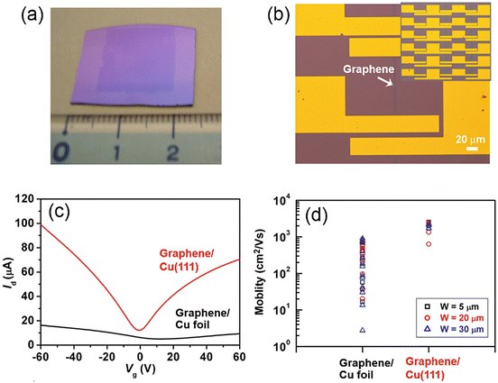 CVD Growth of High-Quality Single-Layer Graphene | SpringerLink