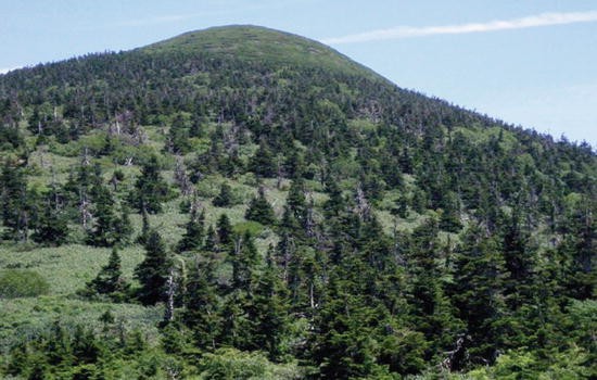 Influences of Climate Change on the Distribution and Population ...