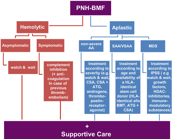 Bone Marrow Failure in PNH | SpringerLink