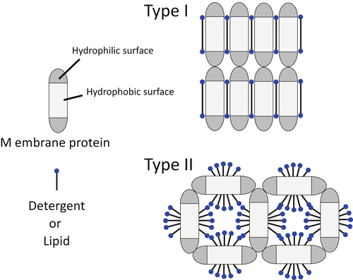Overview of Membrane Protein Purification and Crystallization ...