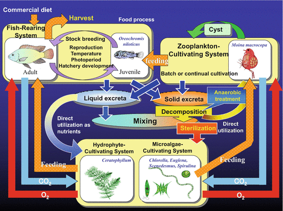 Closed Ecological Recirculating Aquaculture Systems | SpringerLink