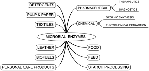 Microbial Enzymes and Their Industrial Applications | SpringerLink
