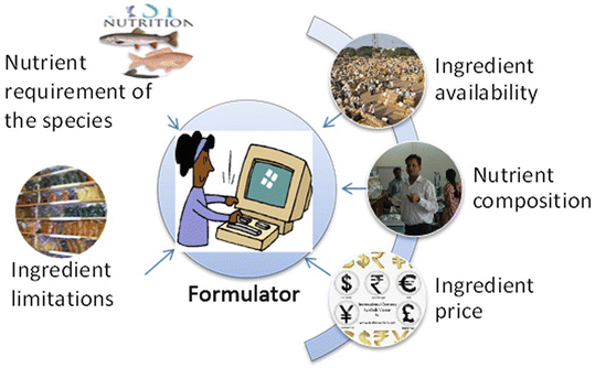 An Overview of Aquafeed Formulation and Processing | SpringerLink