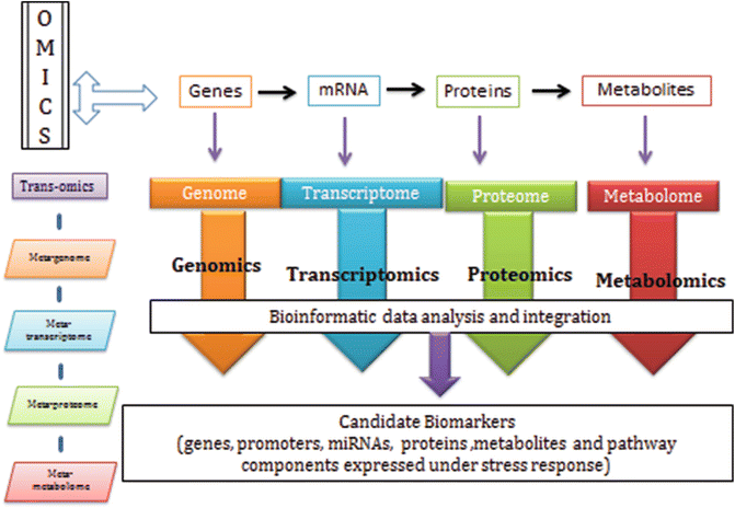 Omics-Driven Approaches in Plant–Microbe Interaction | SpringerLink