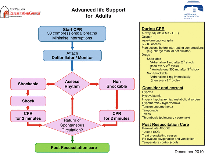 Cardiopulmonary Resuscitation in the Pregnant Woman | SpringerLink