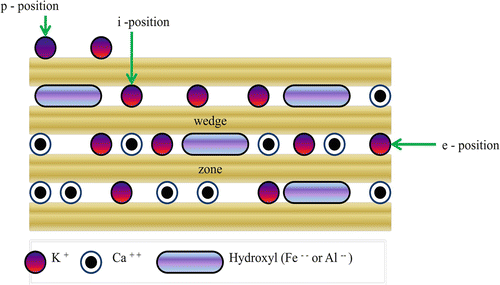 Dynamics of Potassium and Their Bioavailability for Plant Nutrition ...