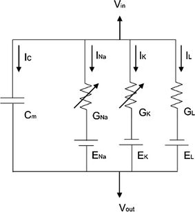 Implementing a Web-Based Simulator with Explicit Neuron and Synapse Models to Aid Experimental ...