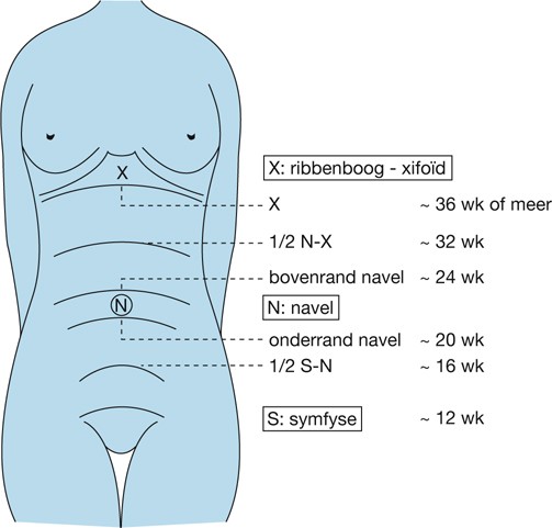 22 Verloskunde | SpringerLink