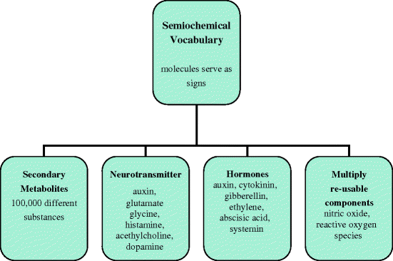 Plant Communication | SpringerLink