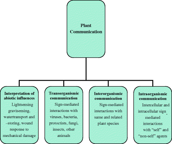 Plant Communication | SpringerLink