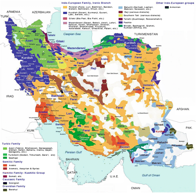 Demography of Race and Ethnicity in Iran | SpringerLink