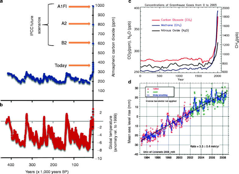 The Impact of Climate Change on Coral Reef Ecosystems | SpringerLink