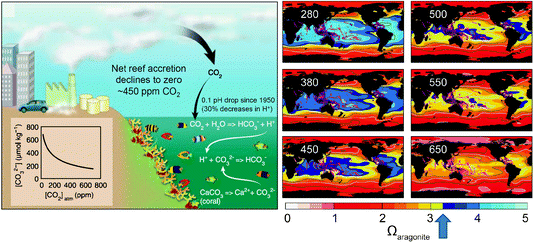 The Impact of Climate Change on Coral Reef Ecosystems | SpringerLink