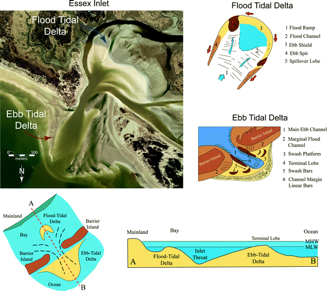 Morphodynamics and Facies Architecture of Tidal Inlets and Tidal Deltas ...