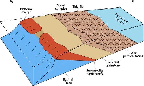 Ancient Carbonate Tidalites | SpringerLink