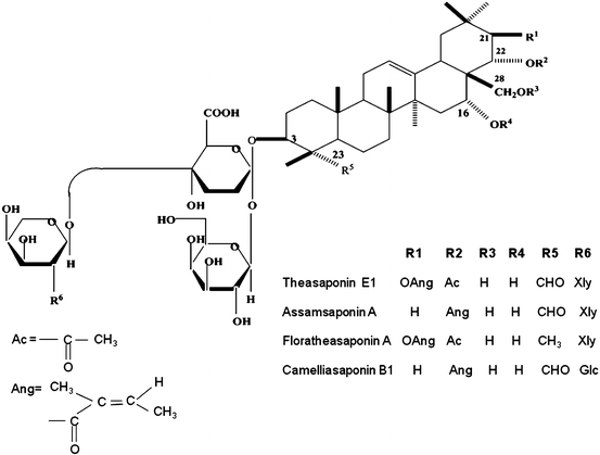 Saponins: Effects on Rumen Microbial Ecosystem and Metabolism in the ...