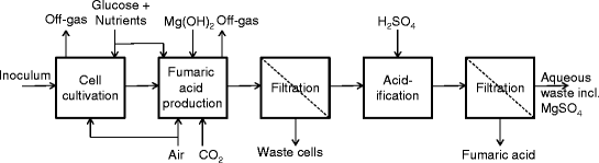 Production of Fumaric Acid by Fermentation | SpringerLink