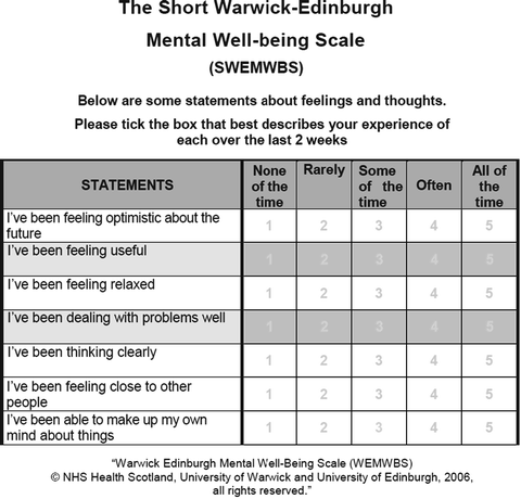 The Warwick-Edinburgh Mental Well-Being Scale (WEMWBS): Performance in ...