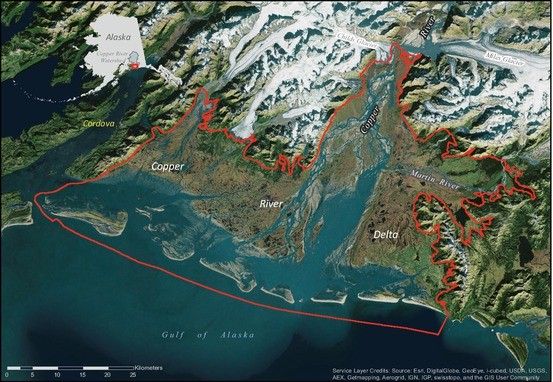 Copper River Delta, Alaska (USA) | SpringerLink