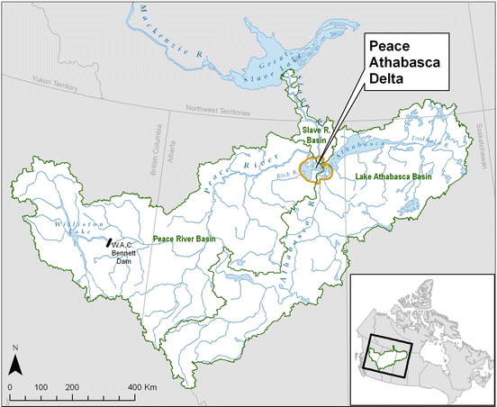 The Peace-Athabasca Delta: MacKenzie River Basin (Canada) | SpringerLink