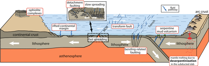 Serpentinization | SpringerLink