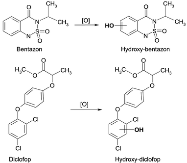 Plants for Remediation: Uptake, Translocation and Transformation of ...