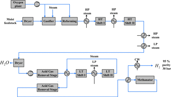 Hydrogen Production from Biomass Gasification | SpringerLink
