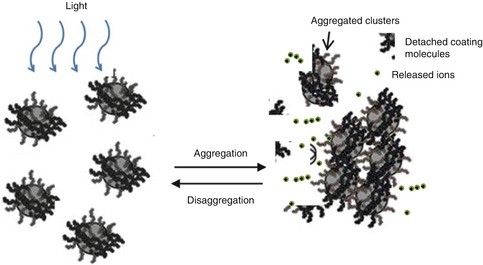 Nanoparticle Aggregation: Principles and Modeling | SpringerLink