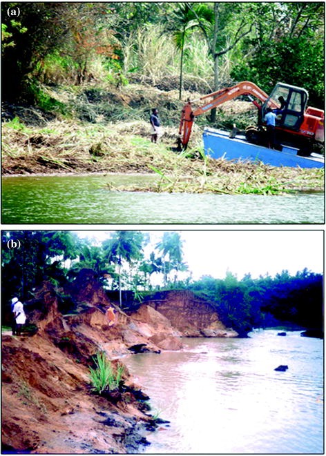 Impacts of River Sand Mining | SpringerLink