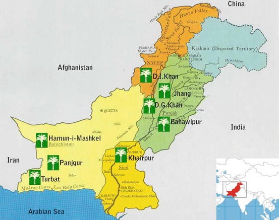 Date Palm Status and Perspective in Pakistan | SpringerLink