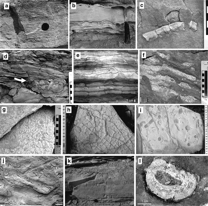 Stratigraphic Expression of Climate, Tectonism, and Geomorphic Forcing ...