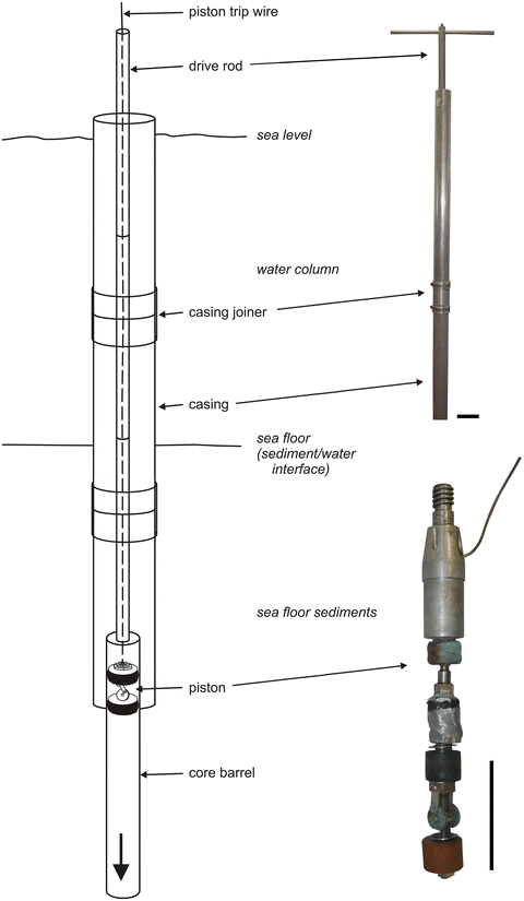 Sediment Sampling in Estuaries: Site Selection and Sampling Techniques ...