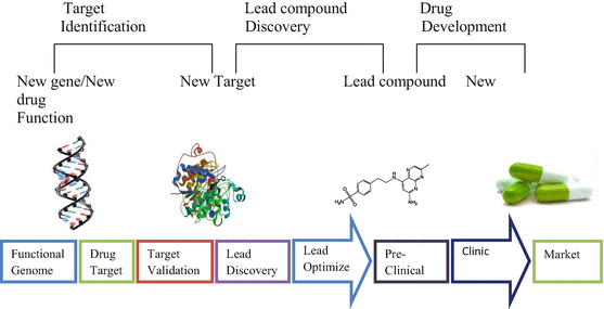 Drug Discovery | SpringerLink
