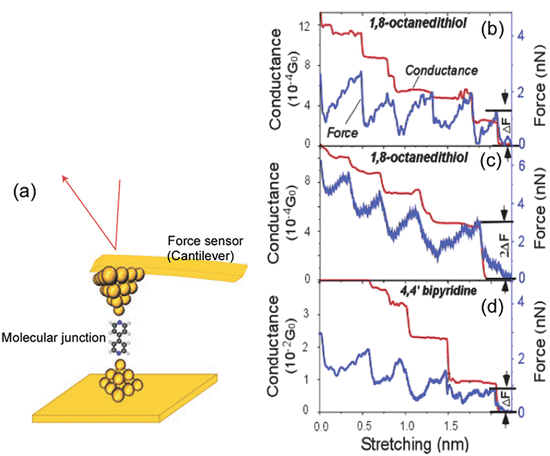 Characterization of the Single Molecular Junction | SpringerLink