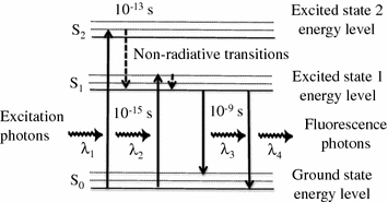 Light-Tissue Interactions | SpringerLink