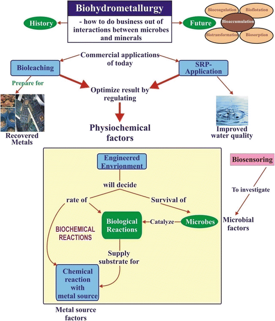 Bioleaching and Biomining | SpringerLink