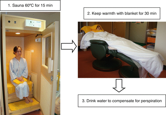Waon Therapy: Effect of Thermal Stimuli on Angiogenesis | SpringerLink