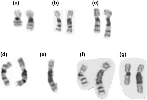 Chromosome Heteromorphism (Summaries) | SpringerLink