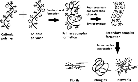 Polyelectrolyte Complexes (PECs) for Biomedical Applications | SpringerLink