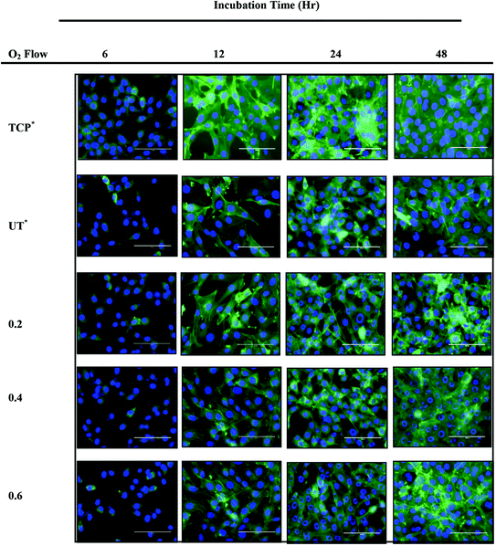 Plasma Surface Modification of Biomaterials for Biomedical Applications ...