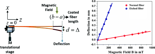 All-Optical Fiber-Cantilever Beam-Deflection Magnetometer: Detection of ...