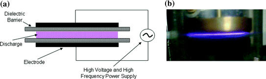 Dielectric Barrier Discharge (DBD) Plasmas and Their Applications ...