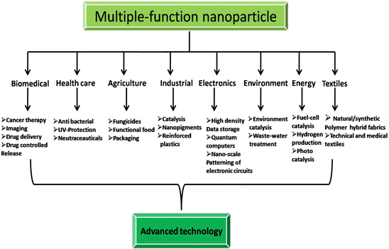 Biosynthesis of Nanoparticles and Their Application in Pharmaceutical ...