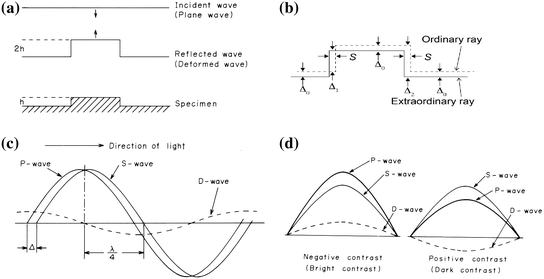 Differential Interference Contrast Microscopy/Phase-Contrast Microscopy ...
