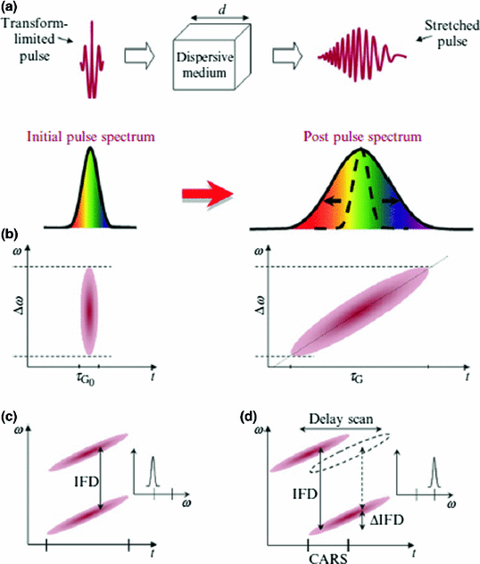 Stimulated Raman Scattering Microscopy for Brain Imaging: Basic ...
