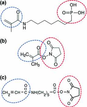 Expansion Microscopy for Brain Imaging | SpringerLink