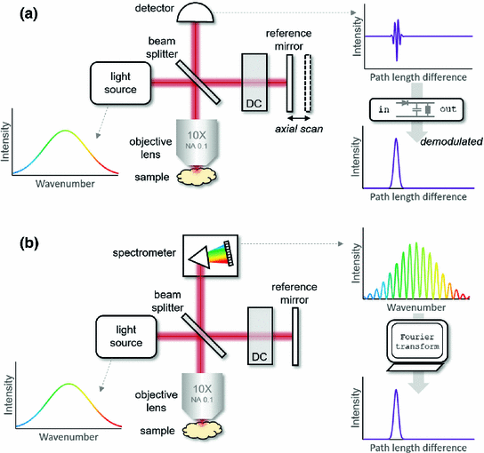 Optical Coherence Tomography for Brain Imaging | SpringerLink